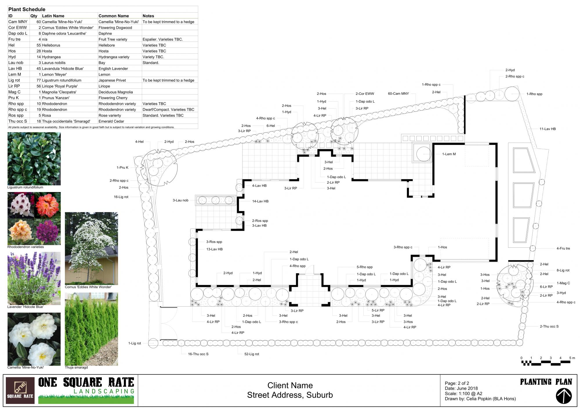 Landscape Design Christchurch | Landscape Architects | One Square Rate